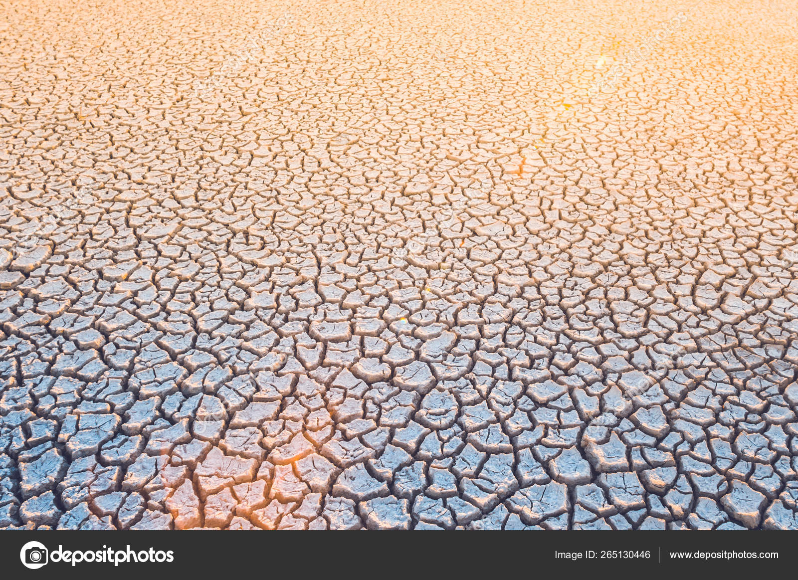 Cracked Earth Desertification Process Abstract Background Stock Photo ...