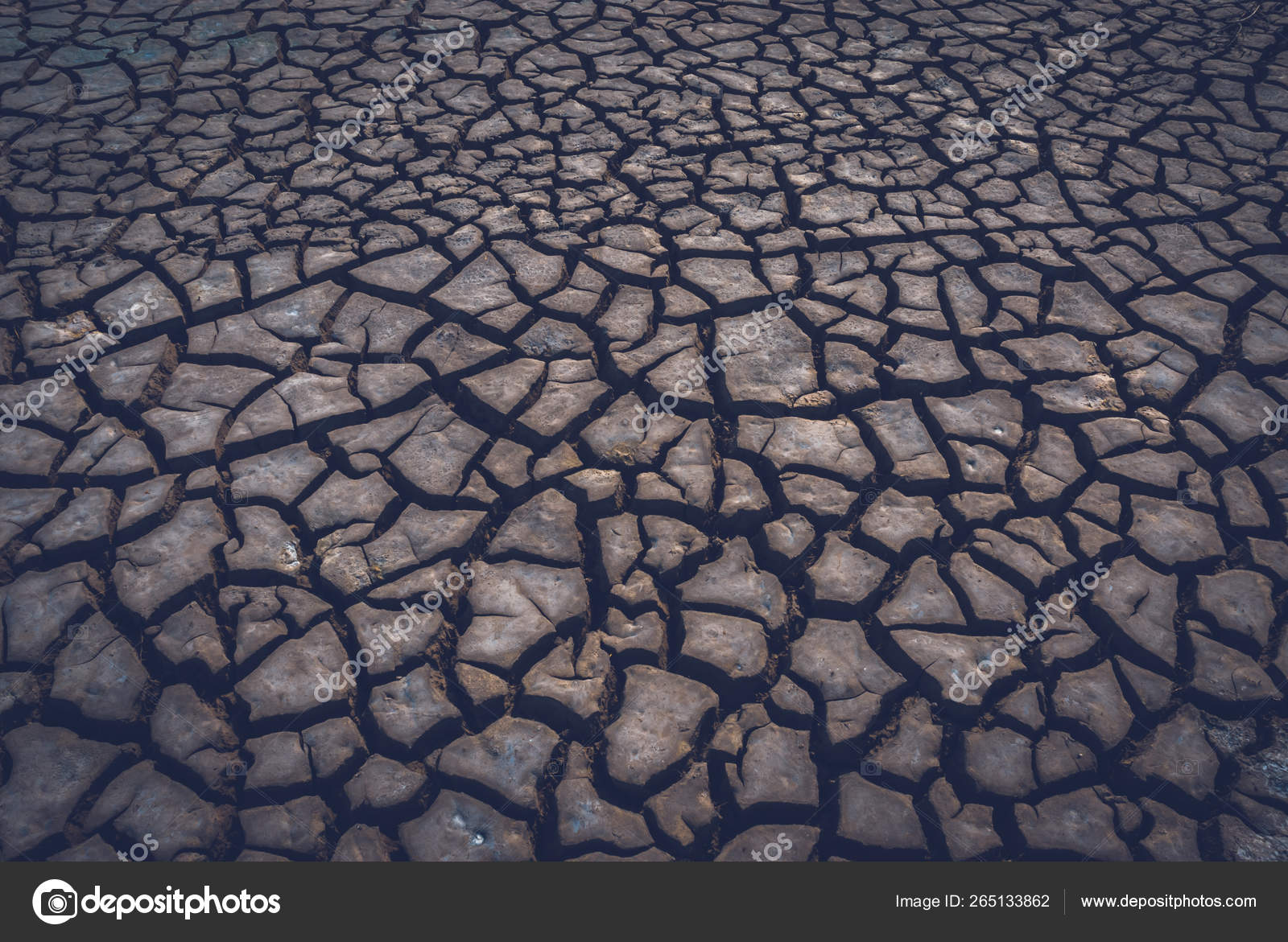 Cracked Earth Desertification Process Abstract Background Stock Photo ...