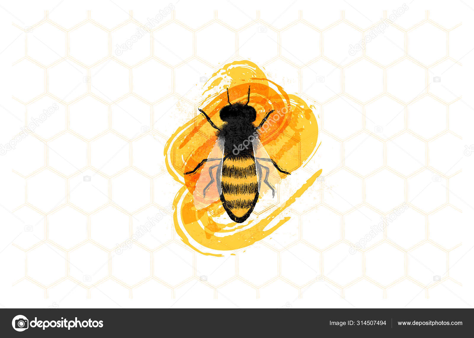 Vector illustrator of honey bee on honeytombs. Designed for labels for ...