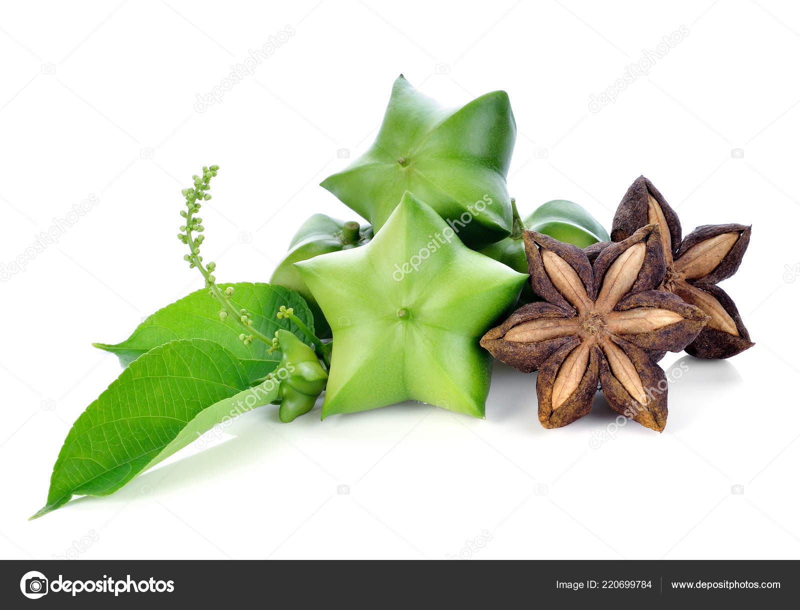 Sacha Inchi White Background Fresh Capsule Seeds Fruit Sacha Inchi ...