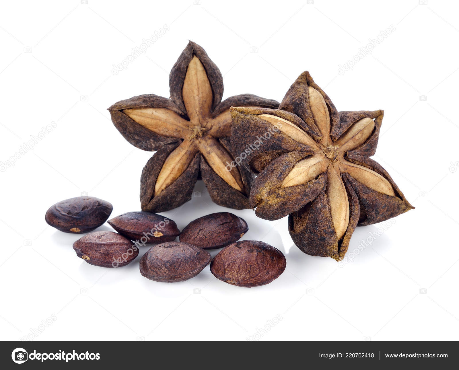 Seed Sacha Inchi Sacha Mani Star Inca Peas White Background Stock Photo ...