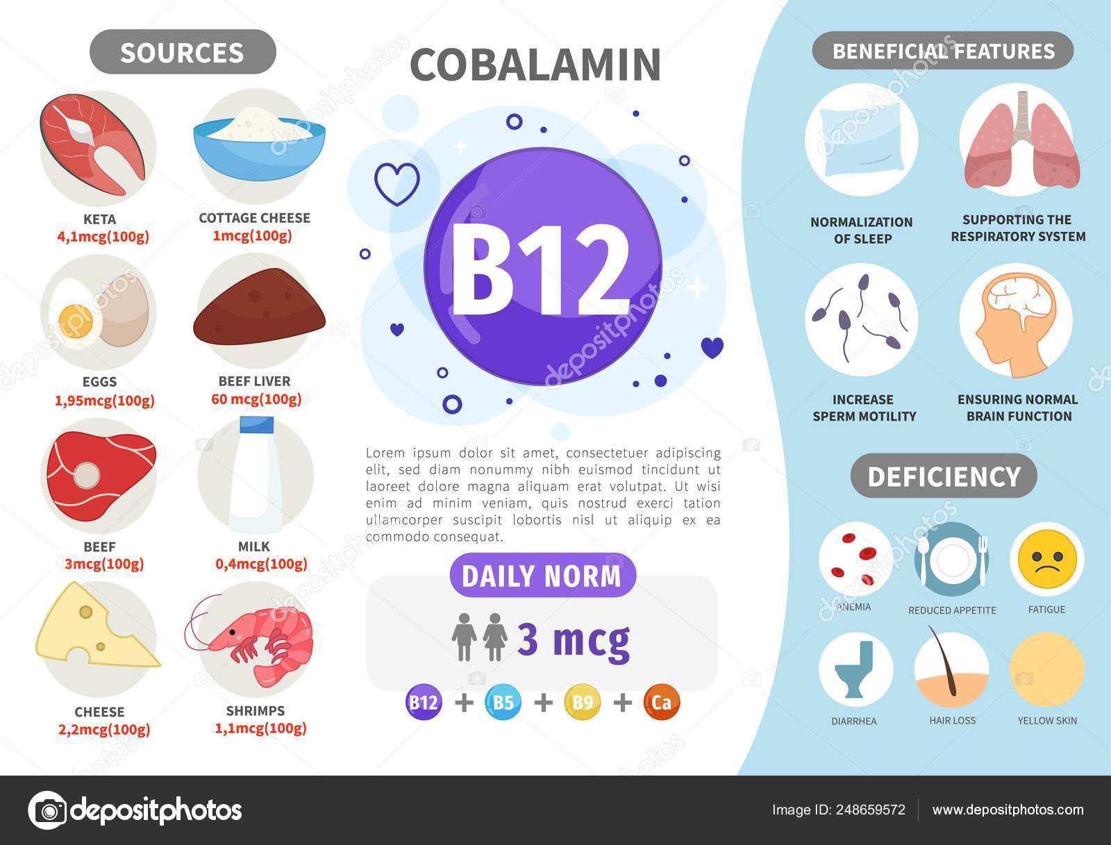 Infographics Vitamin B12 Products Containing Vitamin Daily Norm ...
