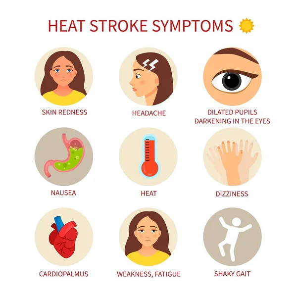 Vector Medical Poster Heart Attack Symptoms Disease Prevention