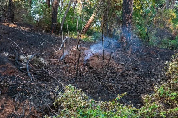 Australias bushfire Stock Photos, Royalty Free Australias bushfire ...
