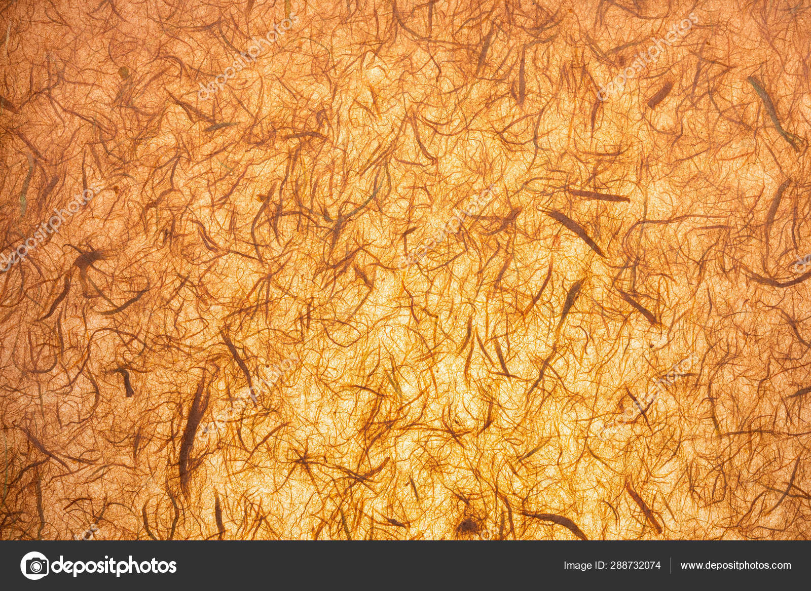 Paper texture (translucent) made by hand with visible organic fibers ...