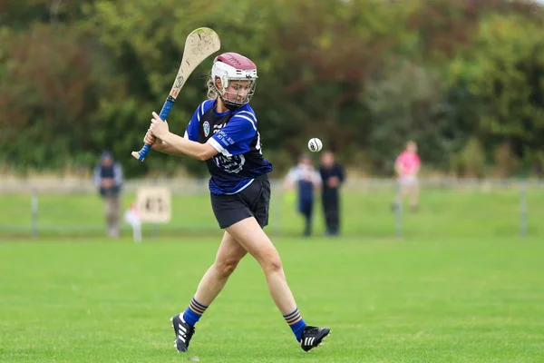 Sarsfield Stock Photos, Royalty Free Sarsfield Images | Depositphotos