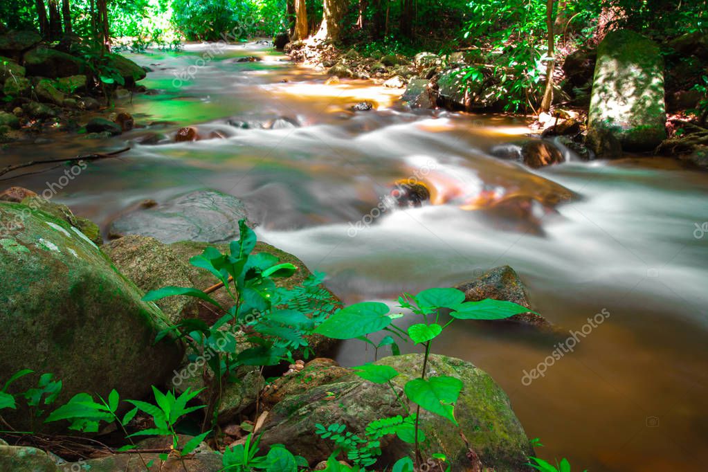 pequeño río fluye a través de las rocas en el bosque verde. Gran tre 2023