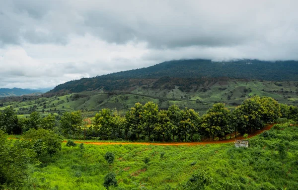 Rwanda landscape Stock Photos, Royalty Free Rwanda landscape Images ...