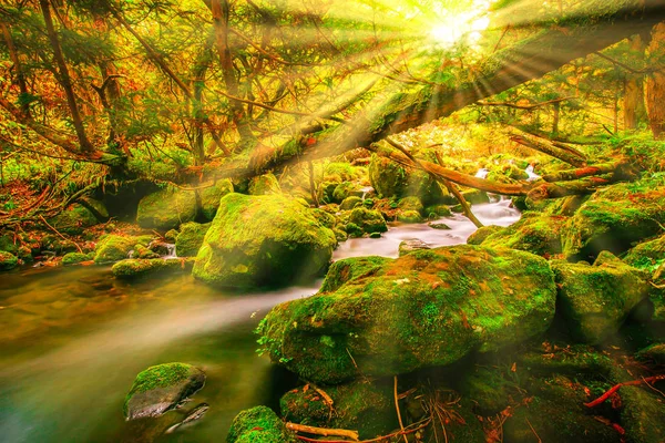 Forest waterfall sunlight Stock Photos, Royalty Free Forest waterfall ... Forest waterfall sunlight Stock Photos, Royalty Free Forest waterfall ...