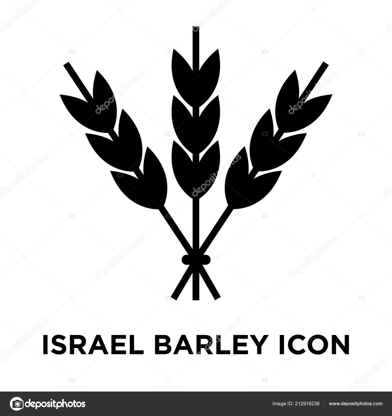 Israël Vecteur D'icône D'orge Isolé Sur Fond Blanc Concept Logo Vecteur ...