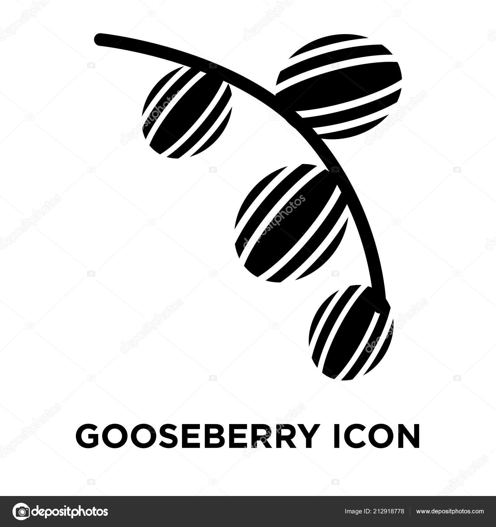 Gooseberry Icon Vector Isolated White Background Logo Concept ...
