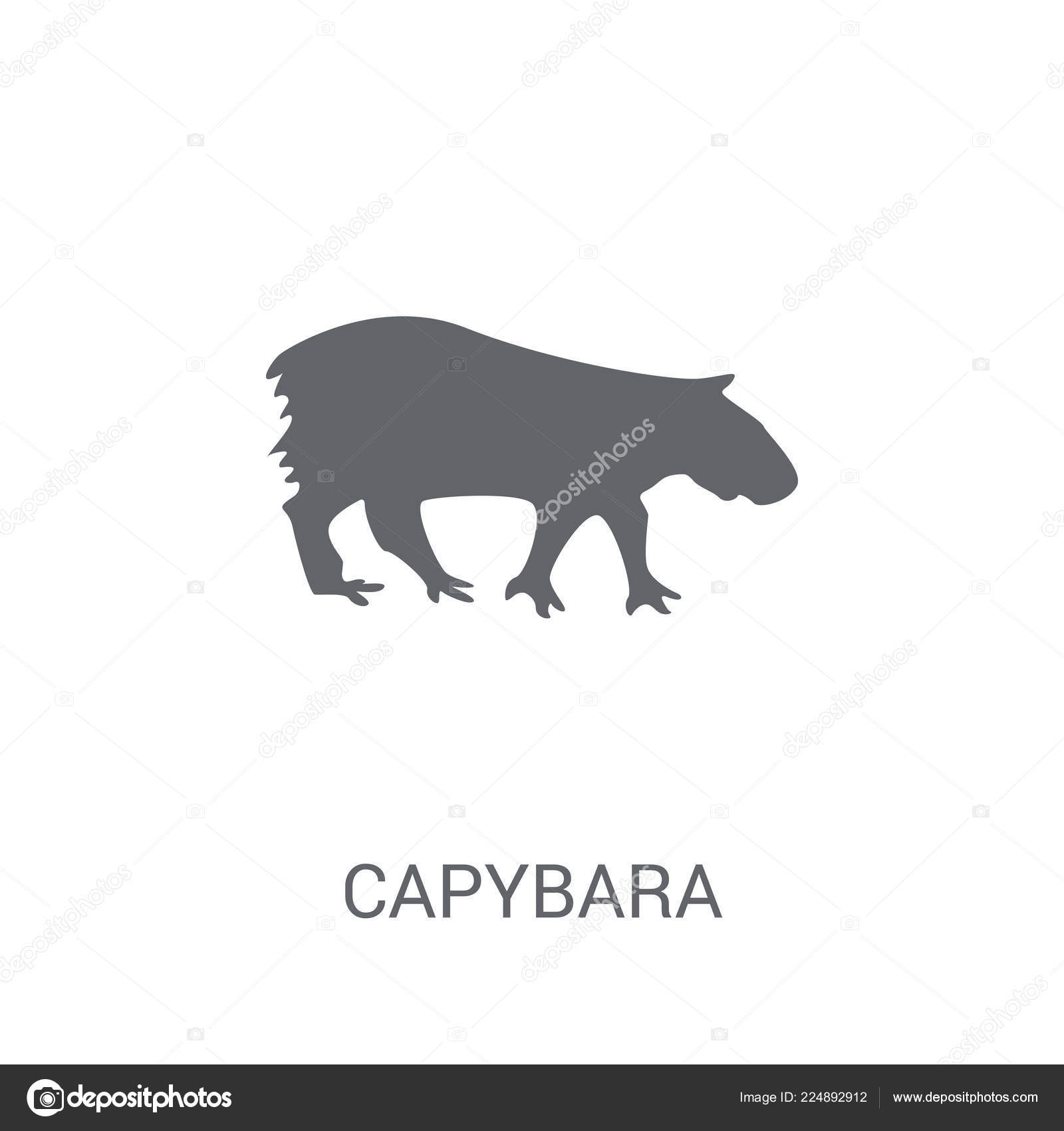 Capybara Icon Trendy Capybara Logo Concept White Background Animals ...
