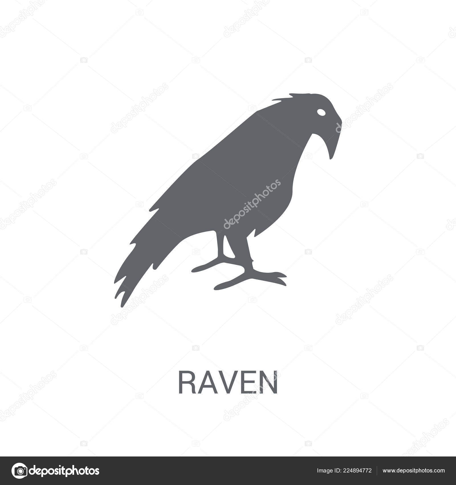 Raven Icon Trendy Raven Logo Concept White Background Animals ...