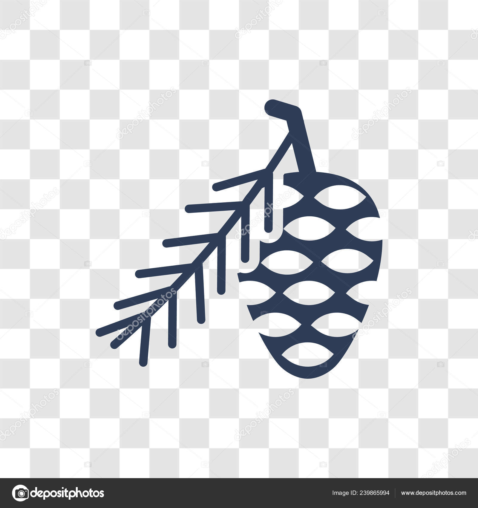 Pine Cone Icon Trendy Pine Cone Logo Concept Transparent Background ...