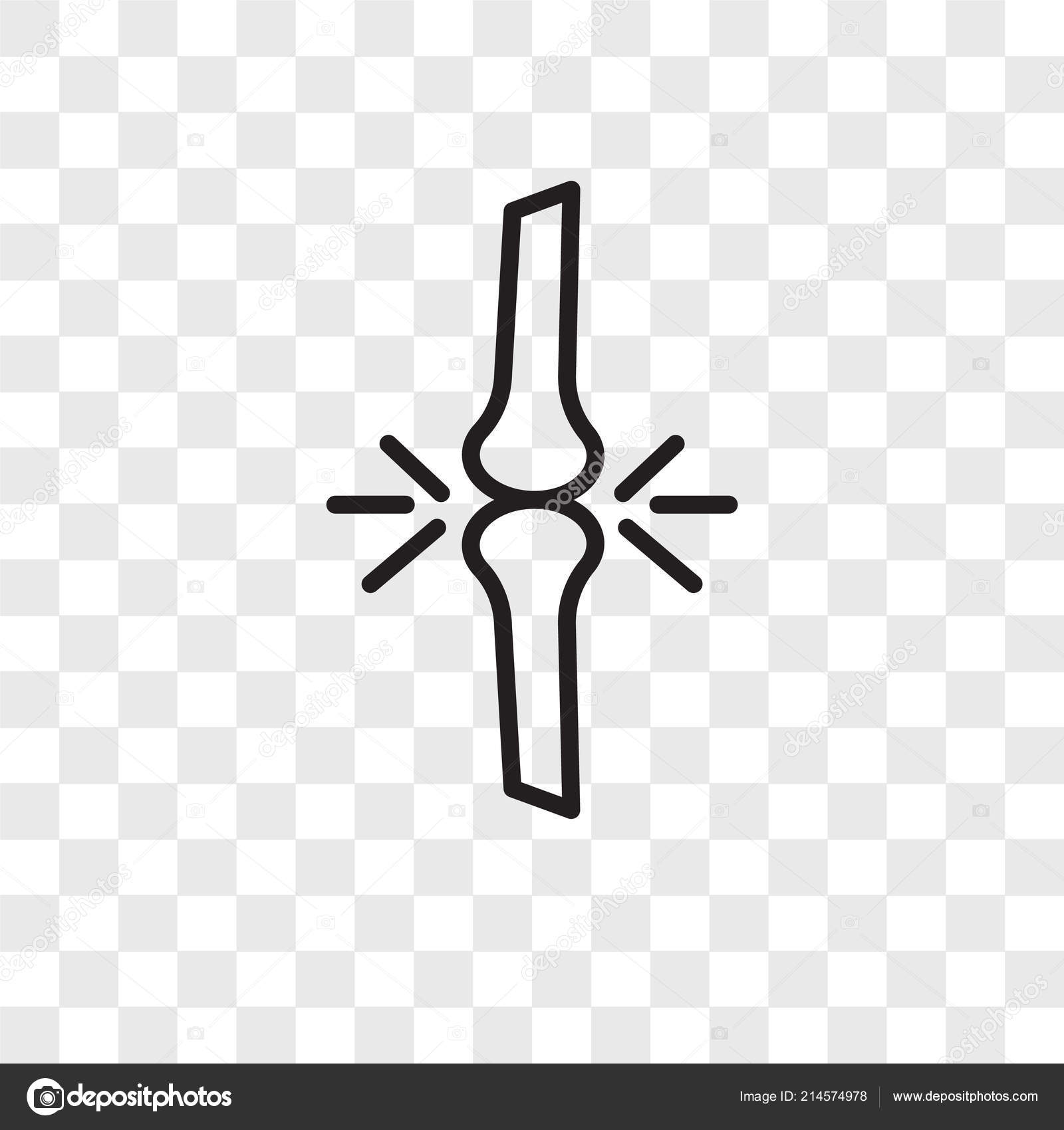 Femur Vector Icon Isolated Transparent Background Femur Logo Concept ...