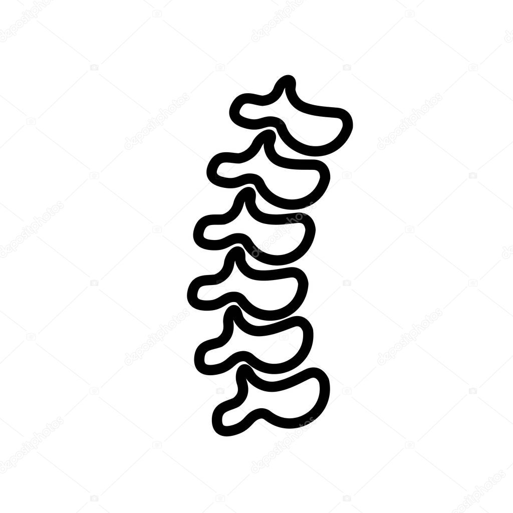 Columna vertebral icono vector aislado sobre fondo blanco, columna ...