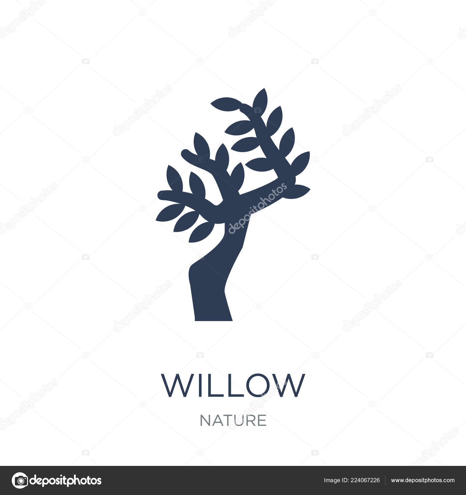 Willow Icon Trendy Flat Vector Willow Icon White Background Nature ...