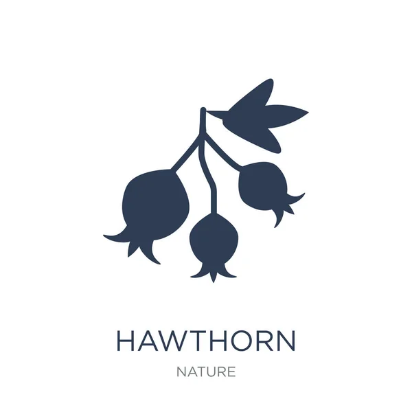 ᐈ Hawthorn flower drawing stock vectors, Royalty Free crataegus ...