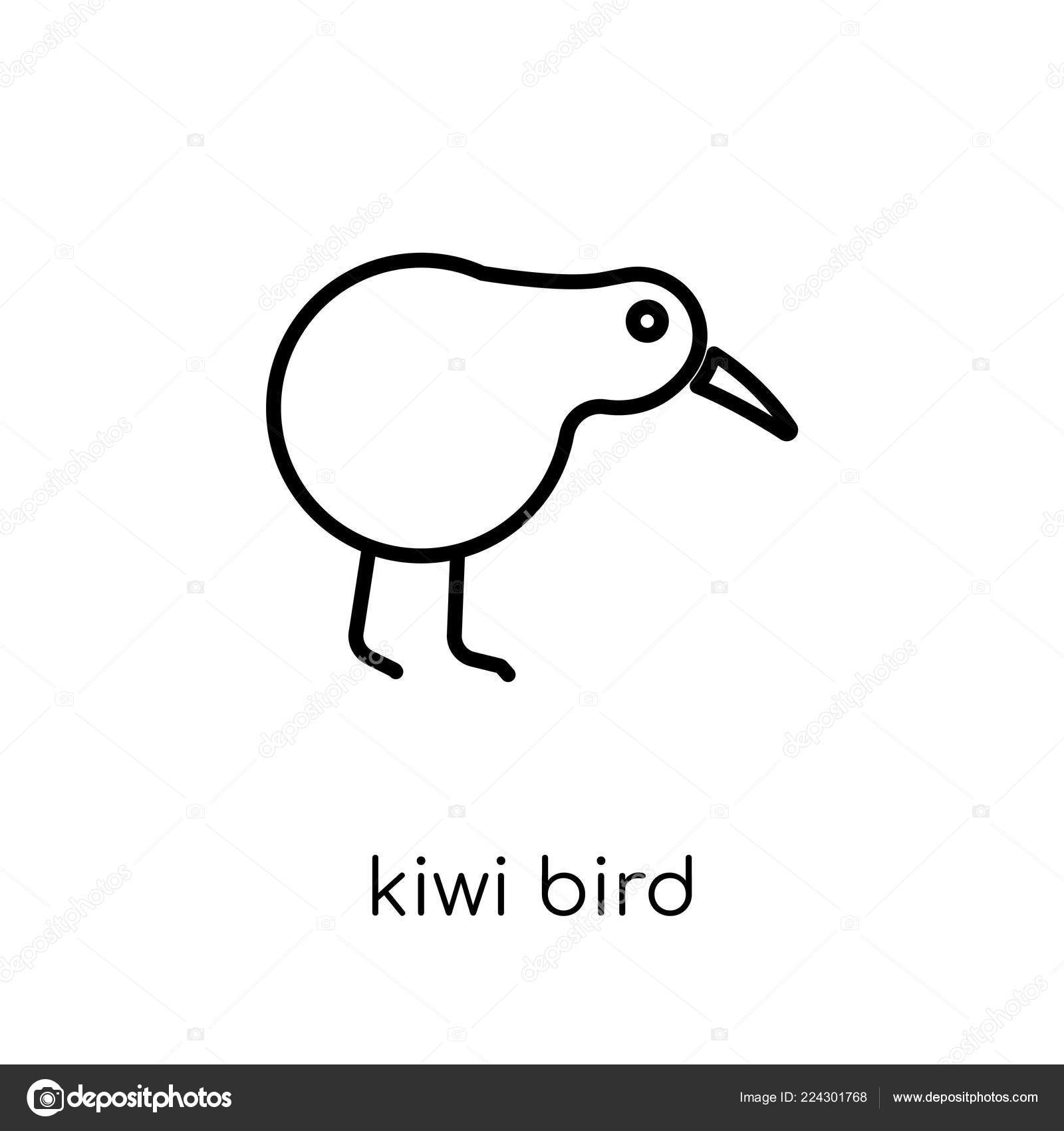 Kiwi Bird Drawing Outline