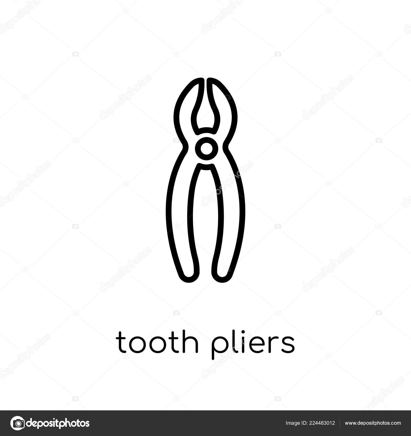 Tooth Pliers Icon Trendy Modern Flat Linear Vector Tooth Pliers — Stock Vector © tvectoricons ...