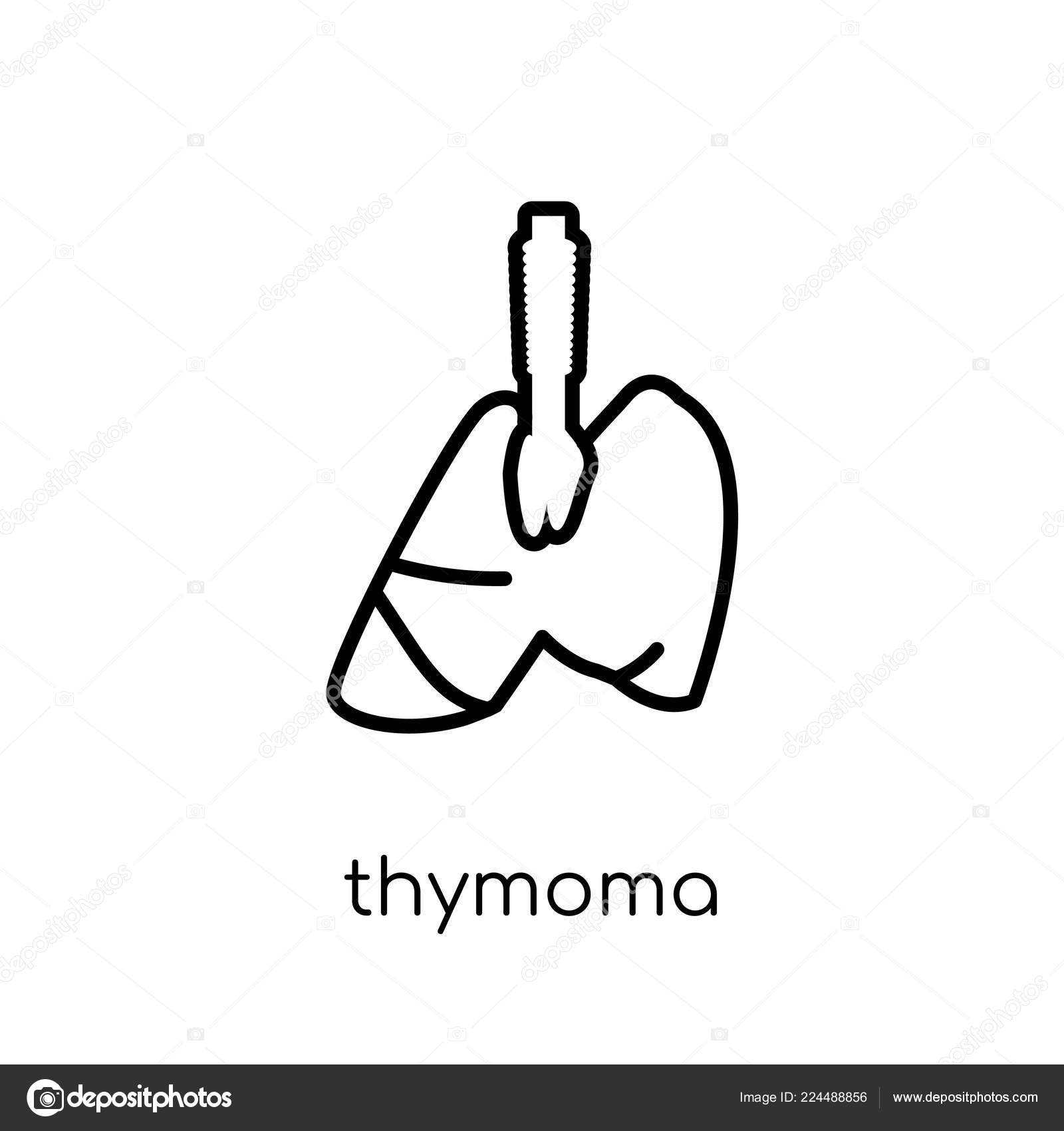 Thymoma Icon Trendy Modern Flat Linear Vector Thymoma Icon White Stock ...