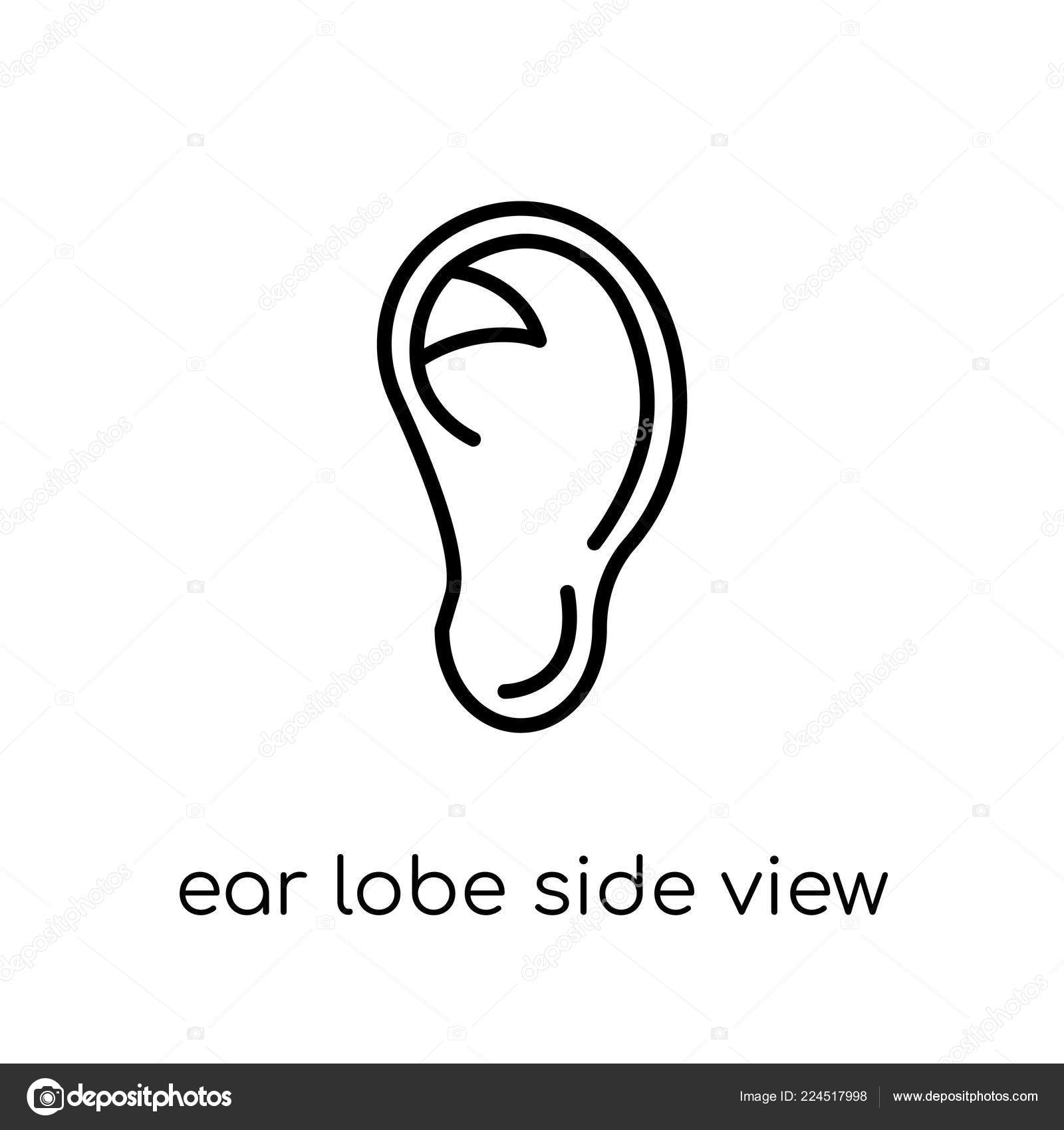 Ear Lobe Side View Icon Trendy Modern Flat Linear Vector ⬇ Vector Image ...