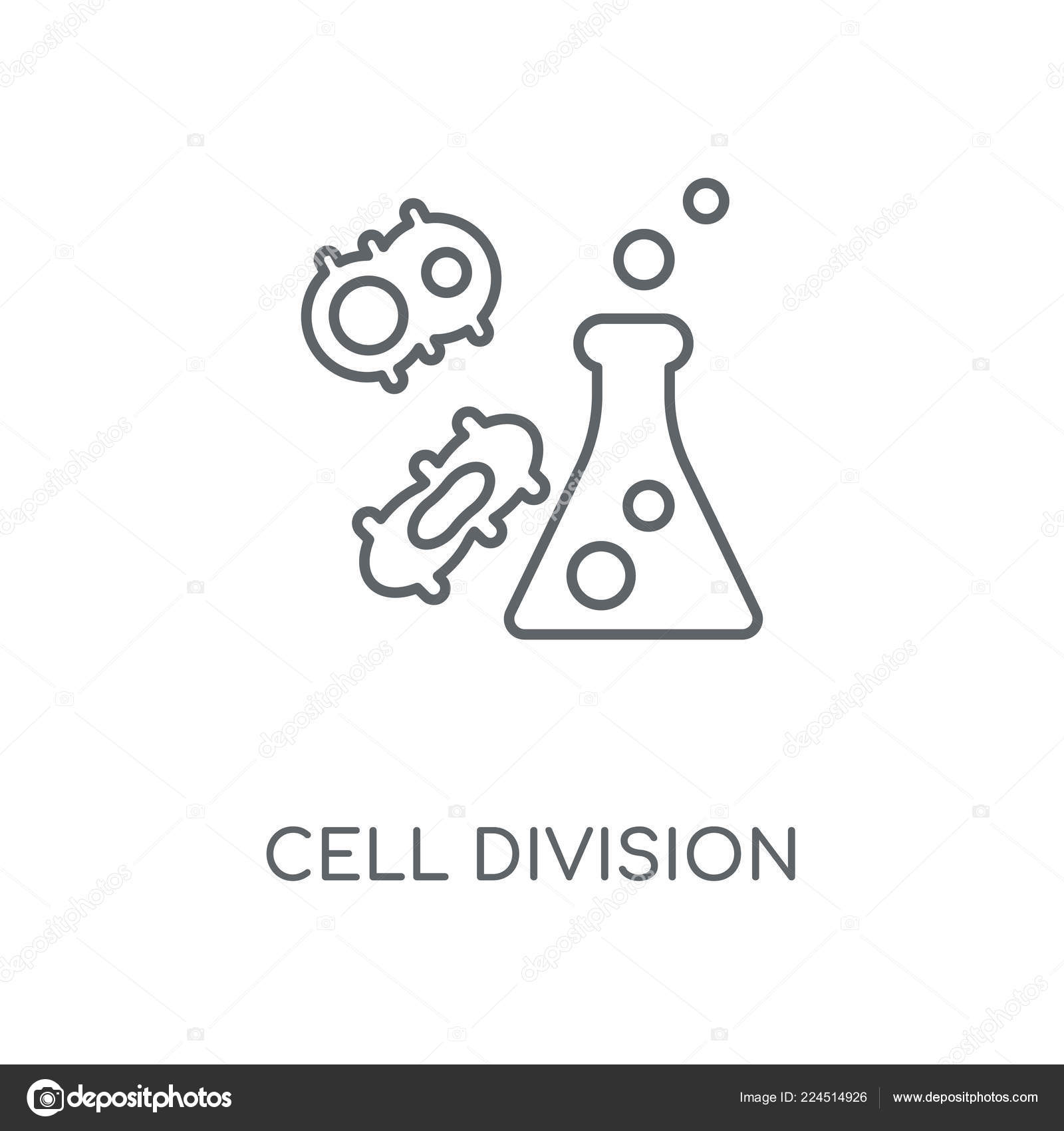 Cell Division Linear Icon Cell Division Concept Stroke Symbol Design ...