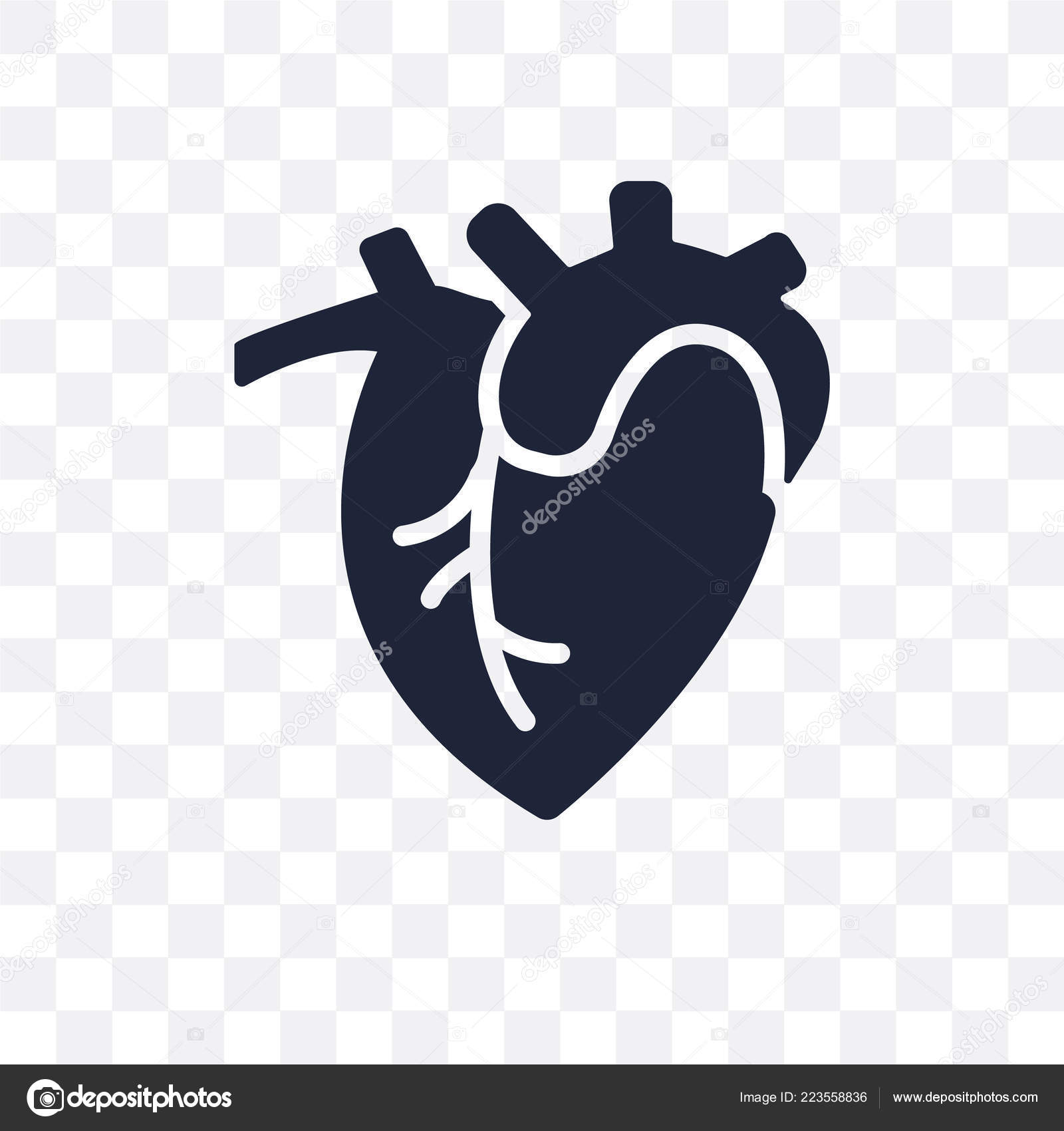 Corazón Humano Icono Transparente Diseño Del Símbolo Del Corazón Humano ...