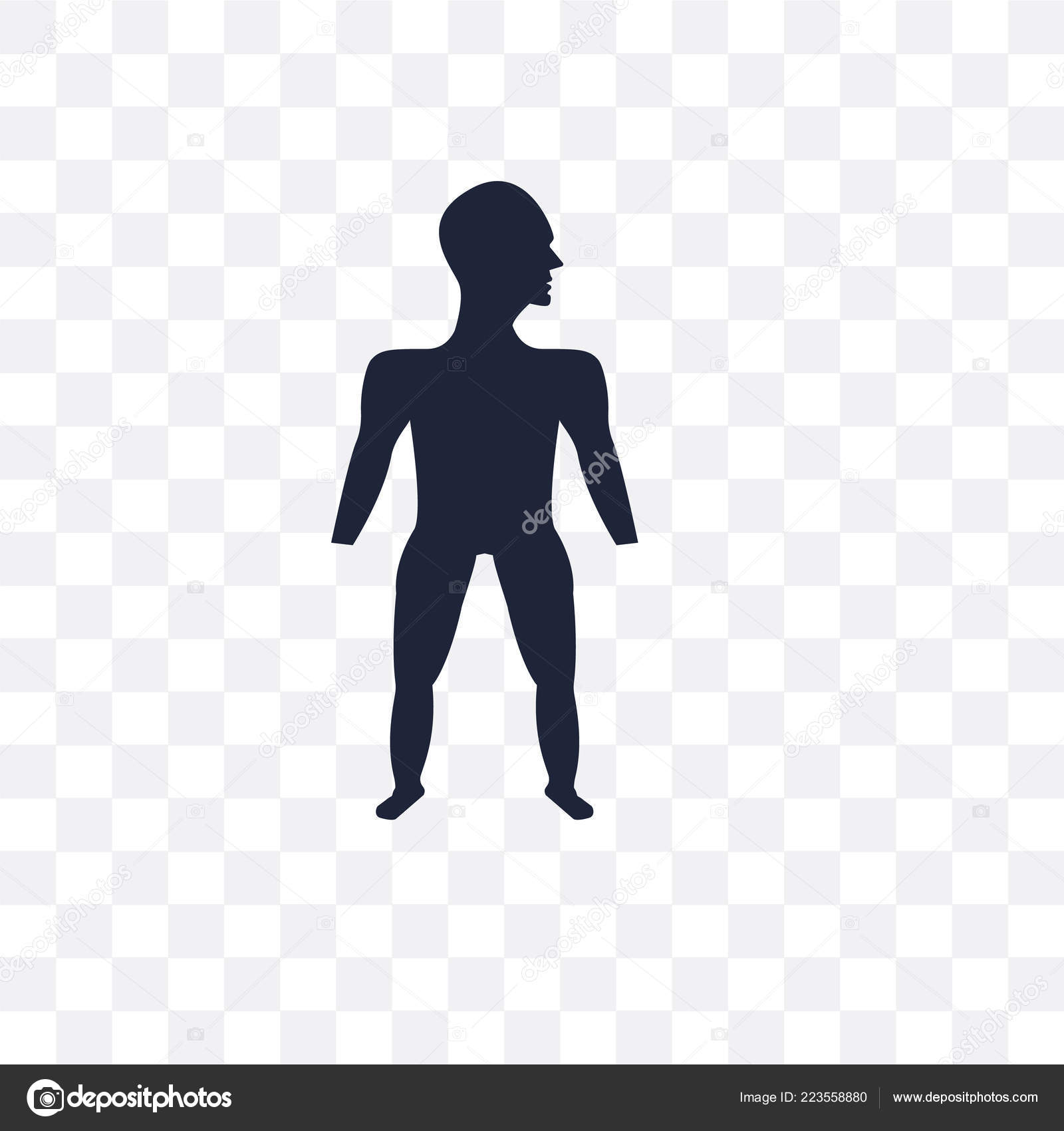 Standing Human Body Shape Svg Png Icon Free Download