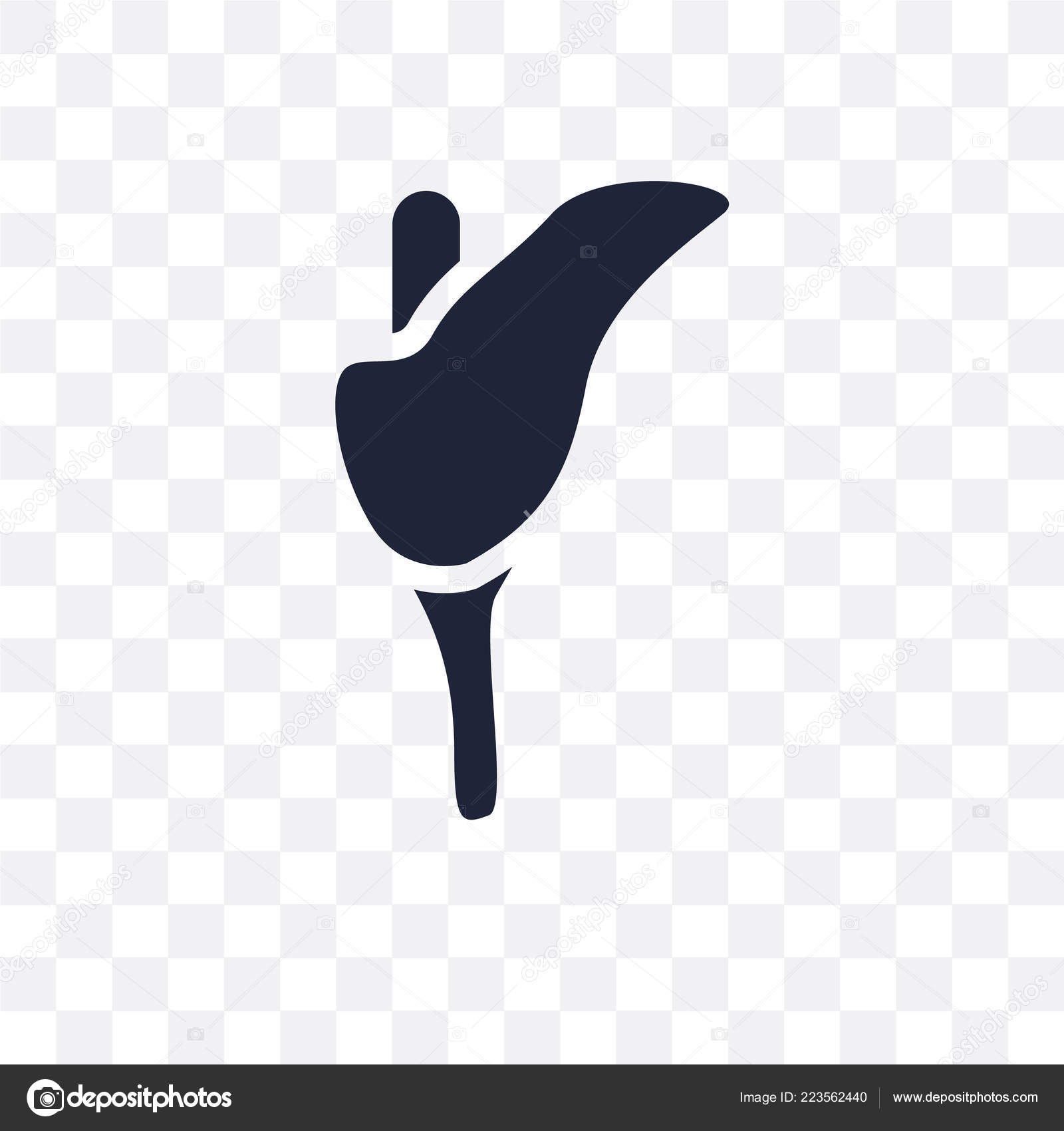 Calla Transparent Icon Calla Symbol Design Nature Collection Simple ...