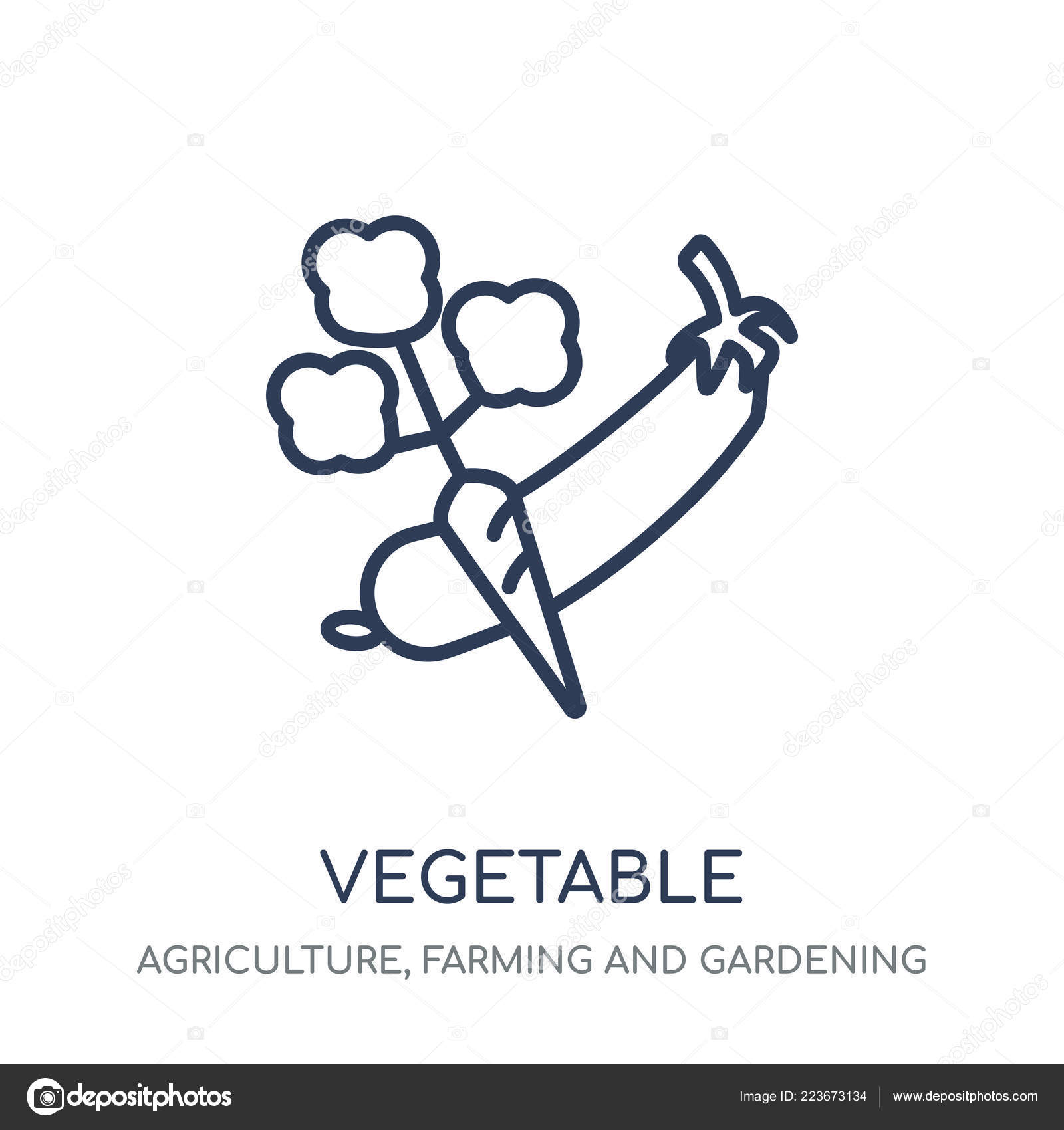 Vegetable Icon Vegetable Linear Symbol Design Agriculture Farming ...