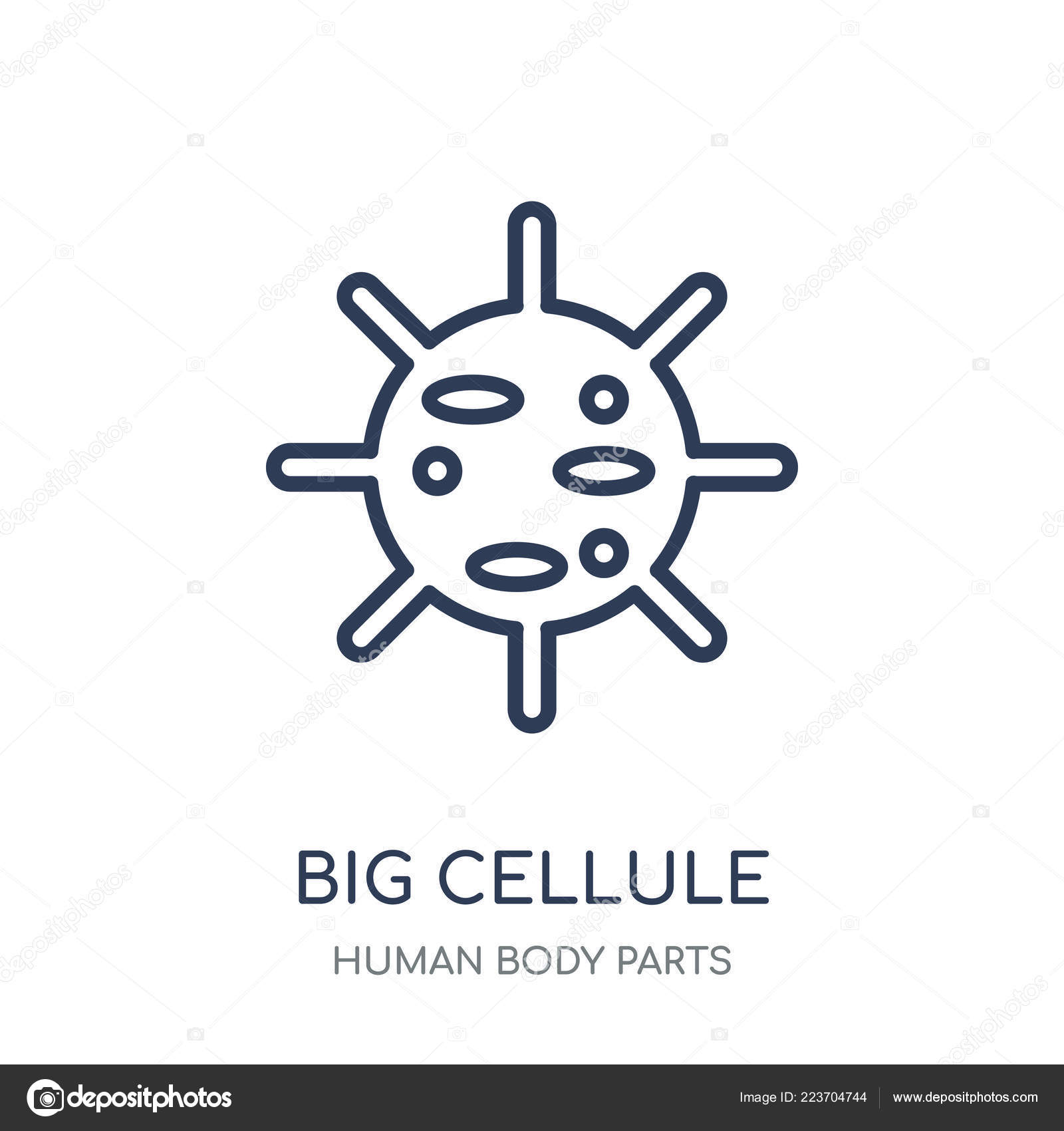 Big Cellule Icon Big Cellule Linear Symbol Design Human Body Stock ...