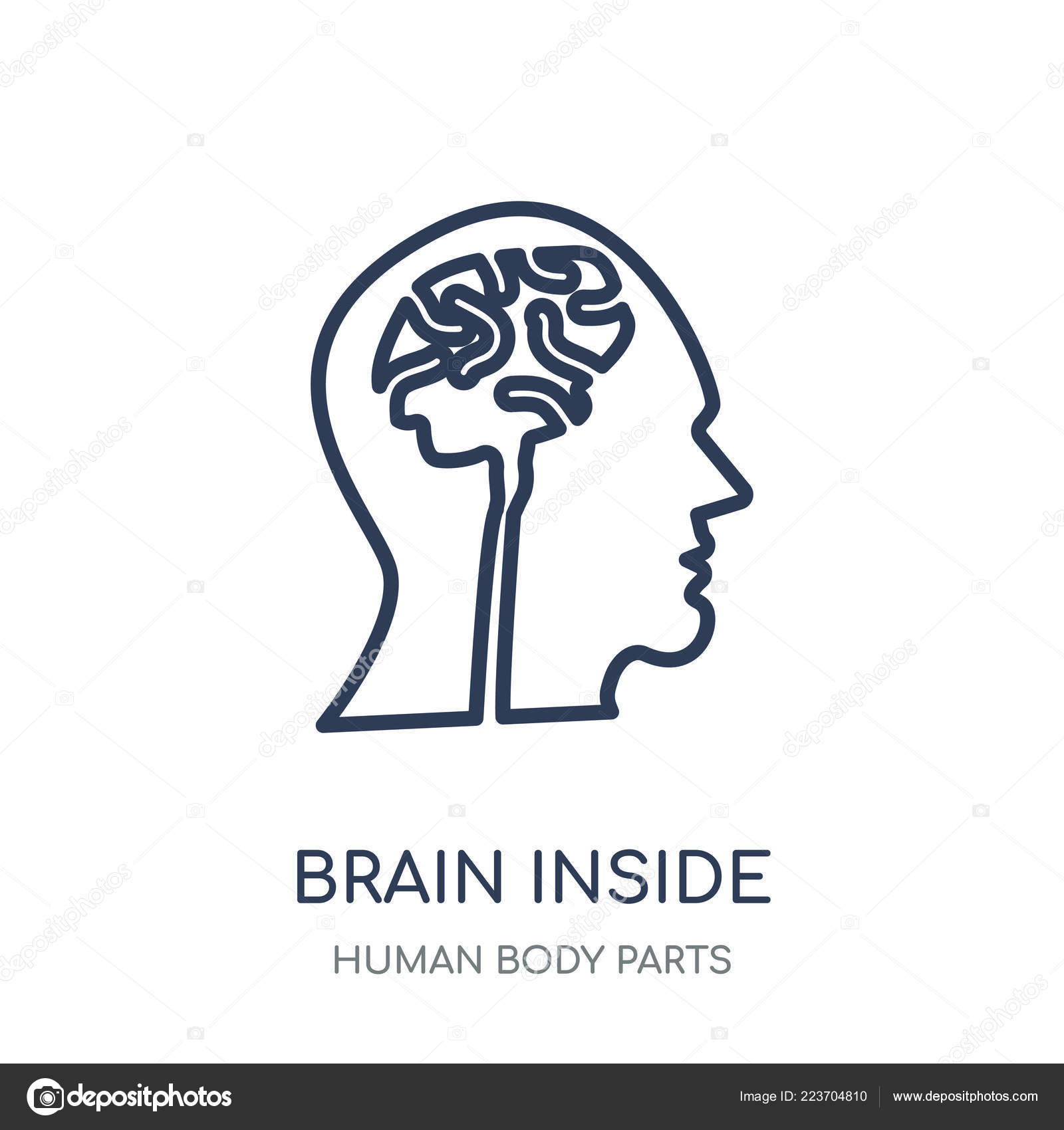 Brain Human Head Icon Brain Human Head Linear Symbol Design Stock ...
