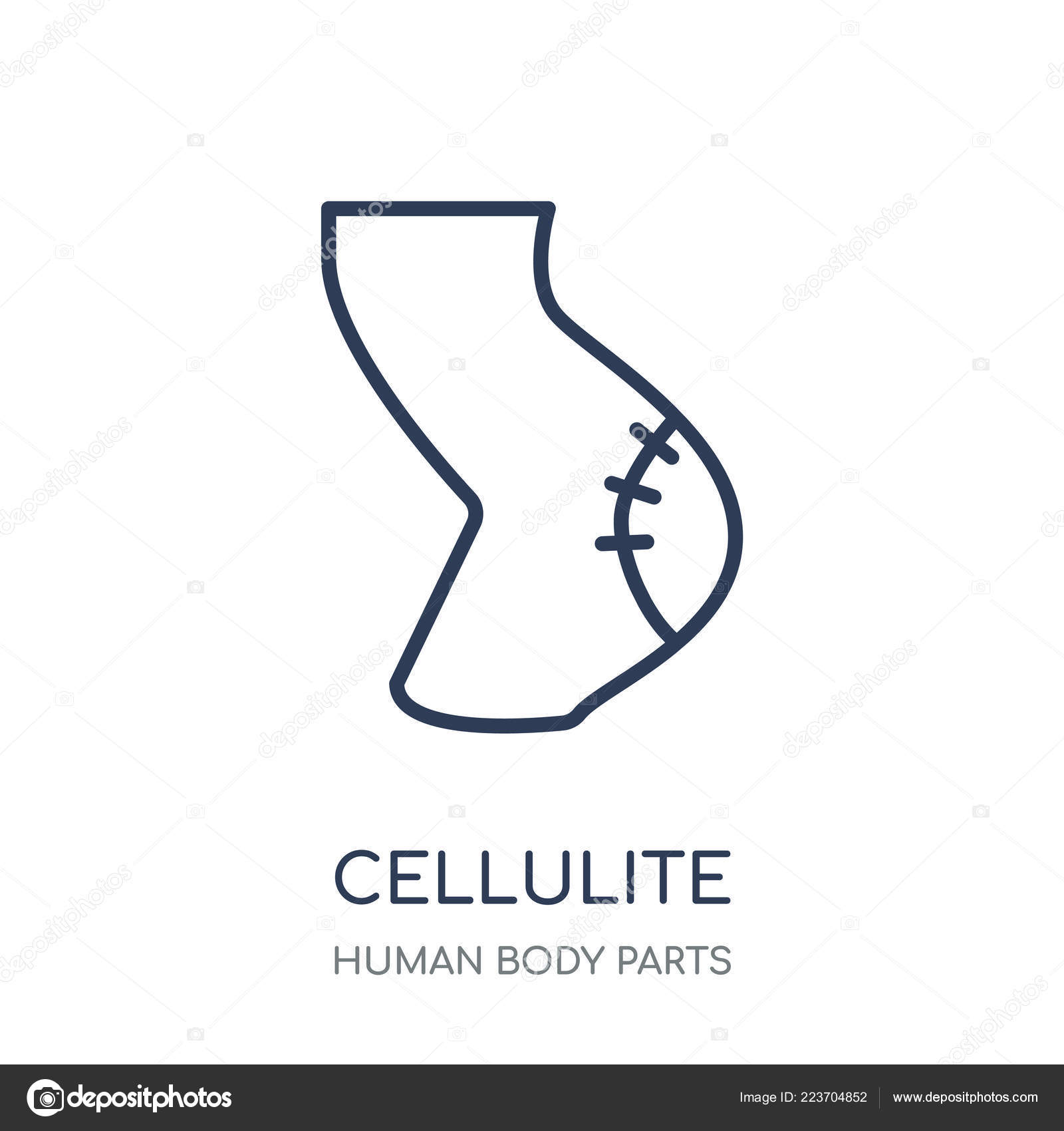Cellulite Icon Cellulite Linear Symbol Design Human Body Parts ...