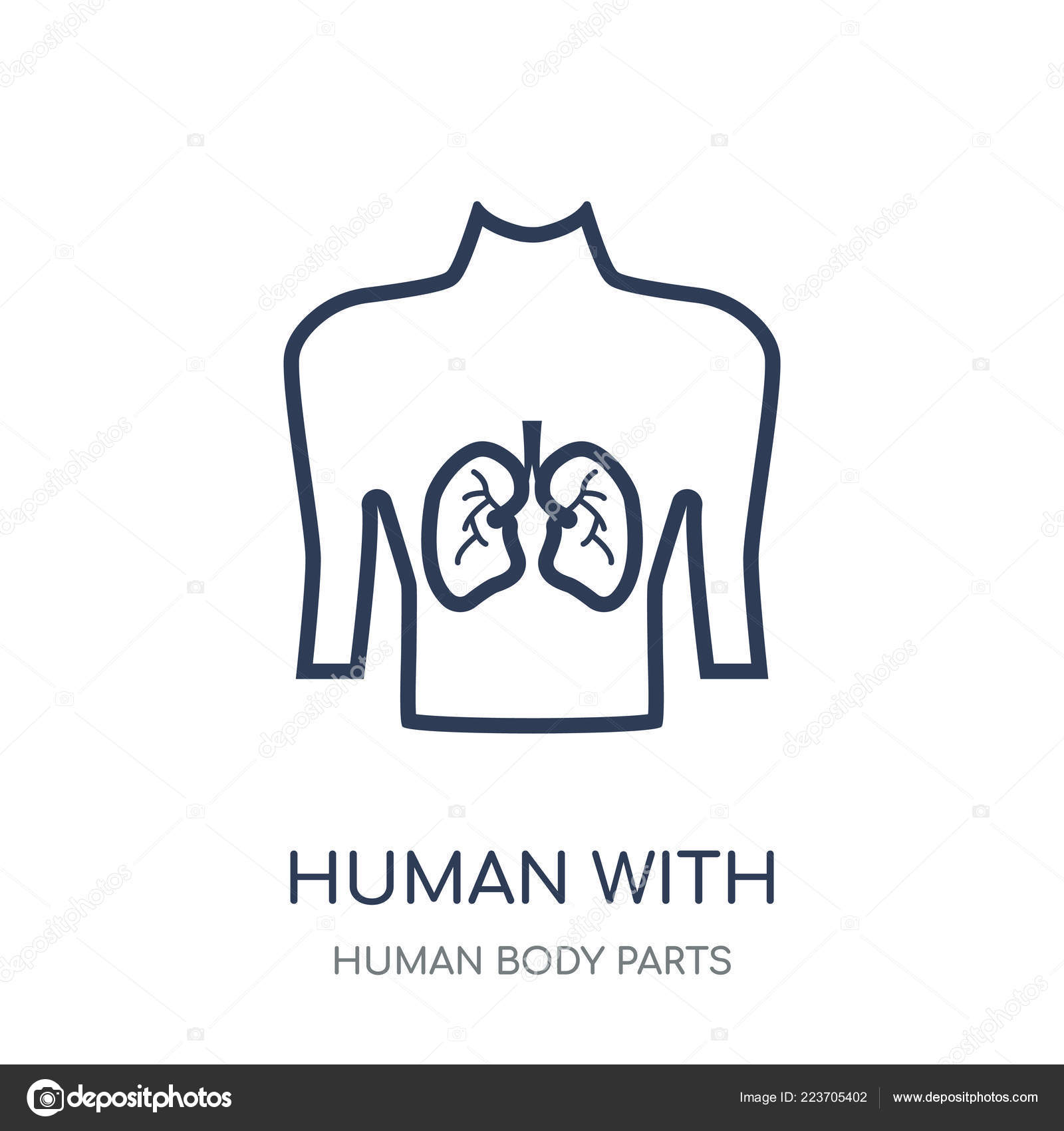 Human Focus Lungs Icon Human Focus Lungs Linear Symbol Design Stock ...