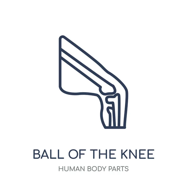 12 Sports injuries logo Vector Images, Sports injuries logo ...