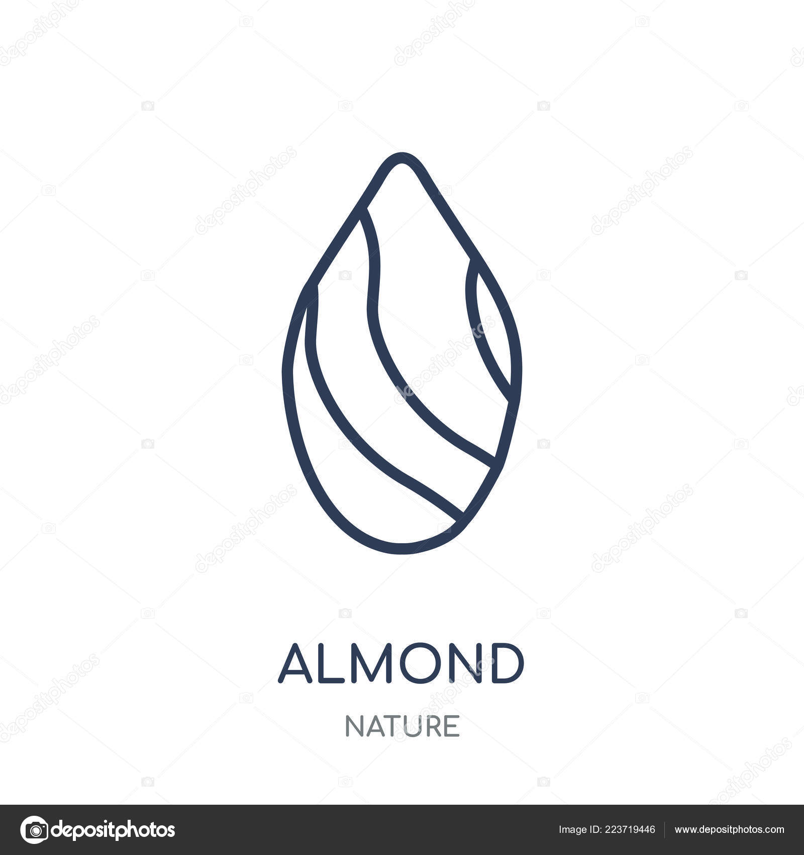Almond Icon Almond Linear Symbol Design Nature Collection Simple ...