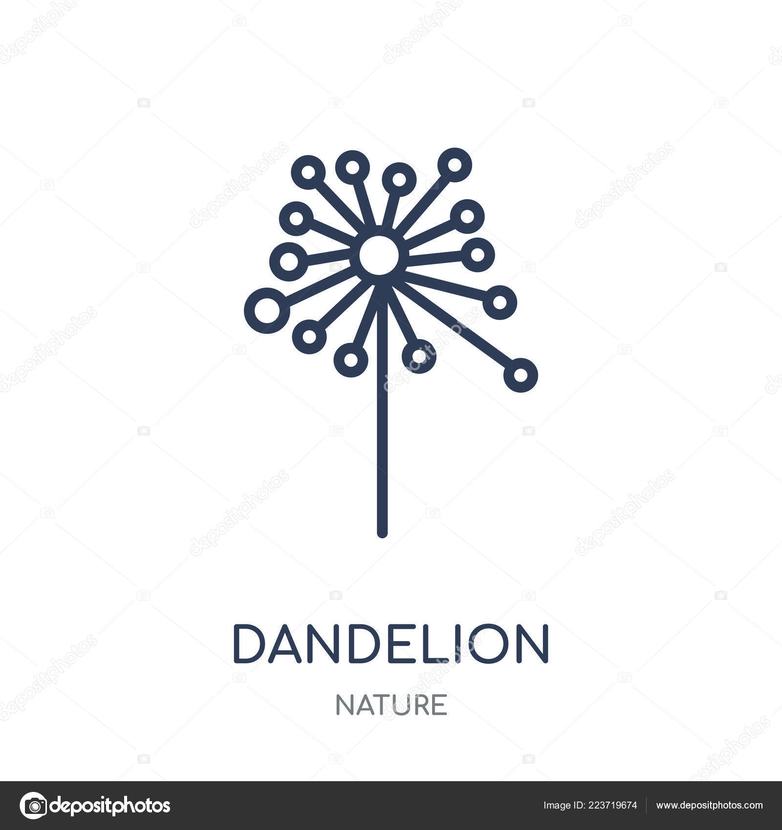 Dandelion Icon Dandelion Linear Symbol Design Nature Collection Simple ...