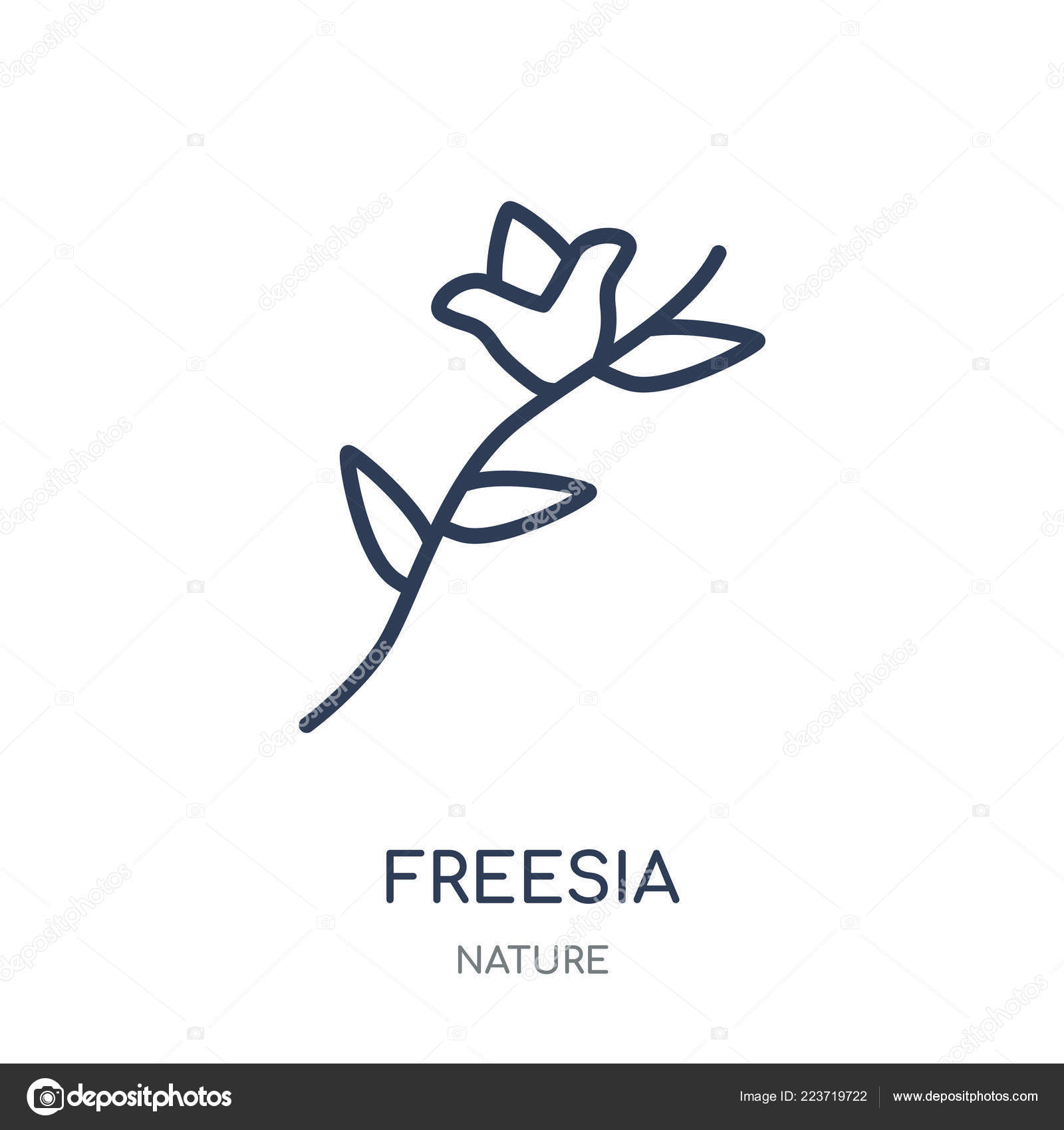 Freesia Icon Freesia Linear Symbol Design Nature Collection Simple ...