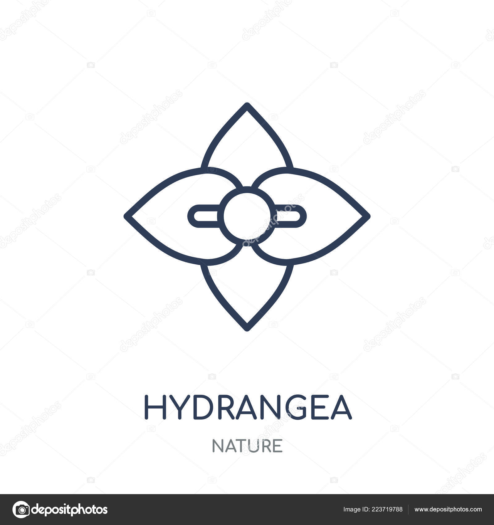 Hydrangea Icon Hydrangea Linear Symbol Design Nature Collection Simple ...