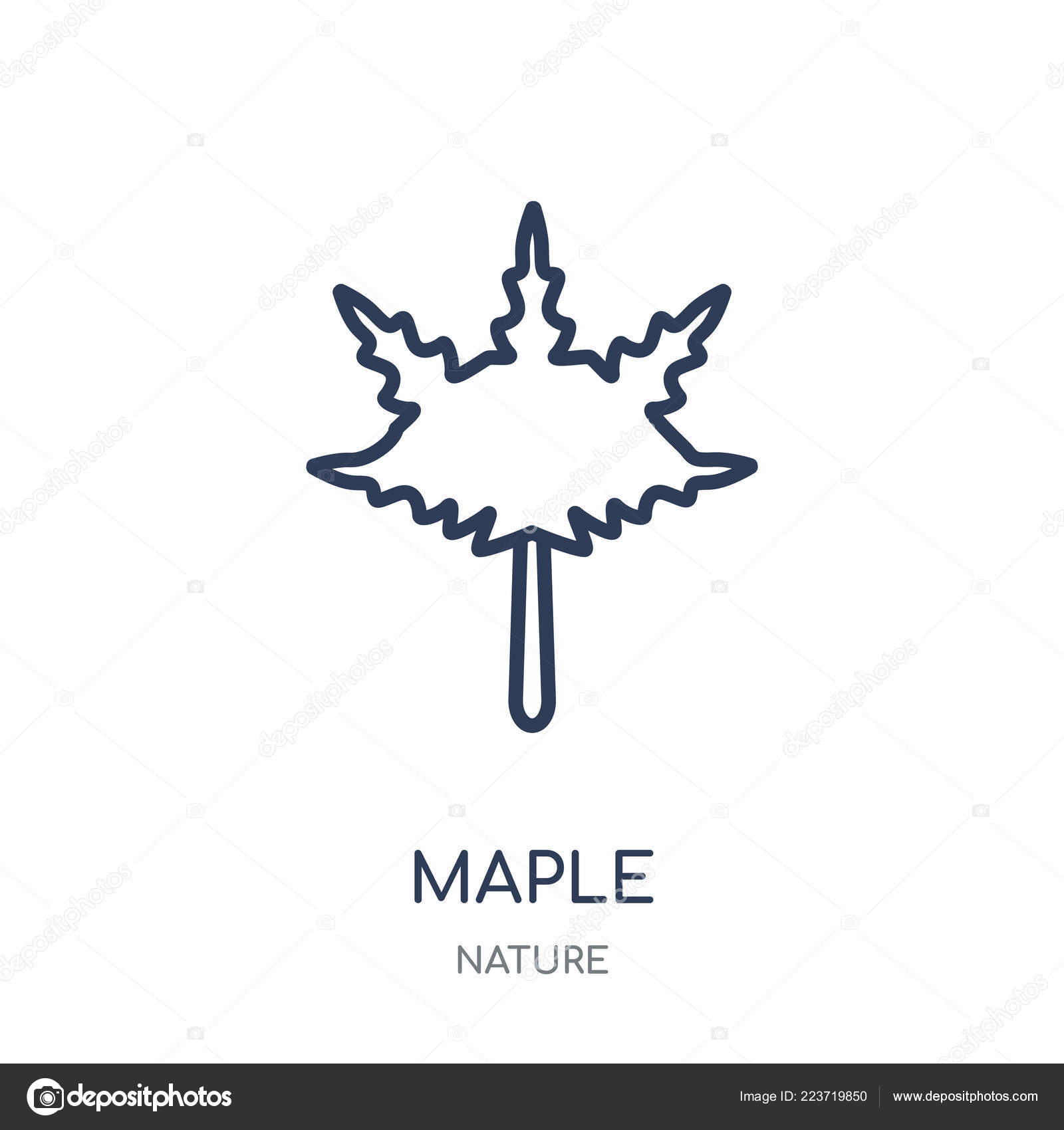 Maple Icon Maple Linear Symbol Design Nature Collection Simple Outline ...