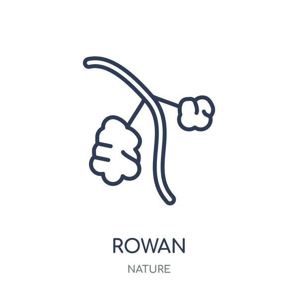 Clover Icon Clover Linear Symbol Design Nature Collection Simple ...