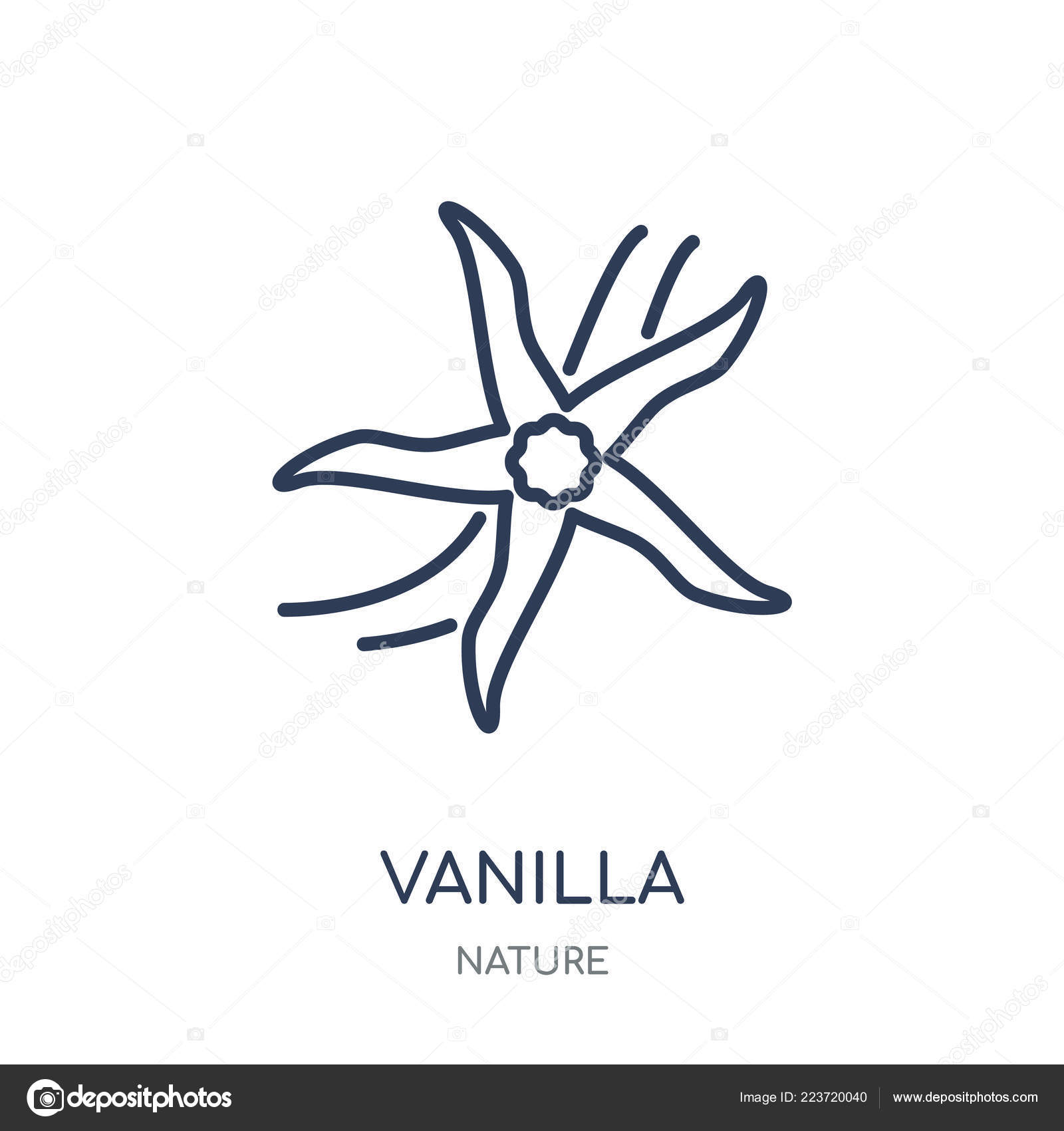 Vanilla Icon Vanilla Linear Symbol Design Nature Collection Simple ...