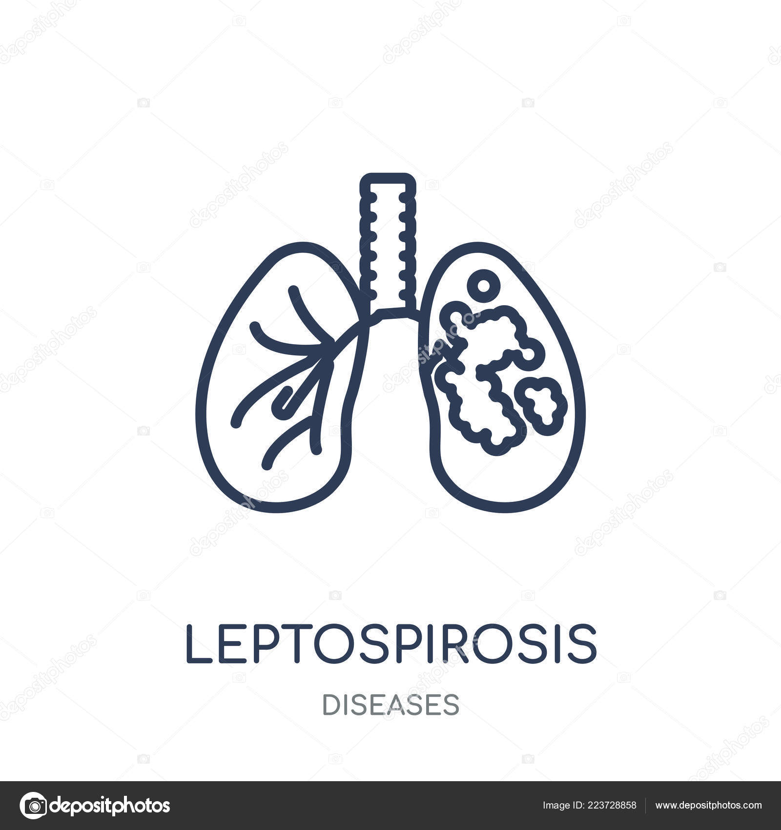 Leptospirosis Icon Leptospirosis Linear Symbol Design Diseases ...