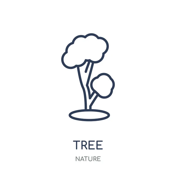 Beech Icon Beech Symbol Design Nature Collection Simple Element Vector ...