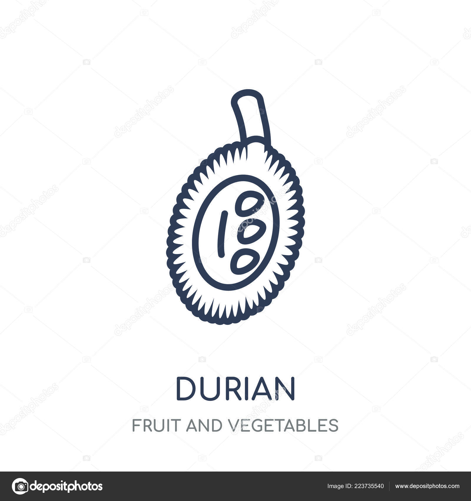 Durian Icon Durian Linear Symbol Design Fruit Vegetables Collection ...