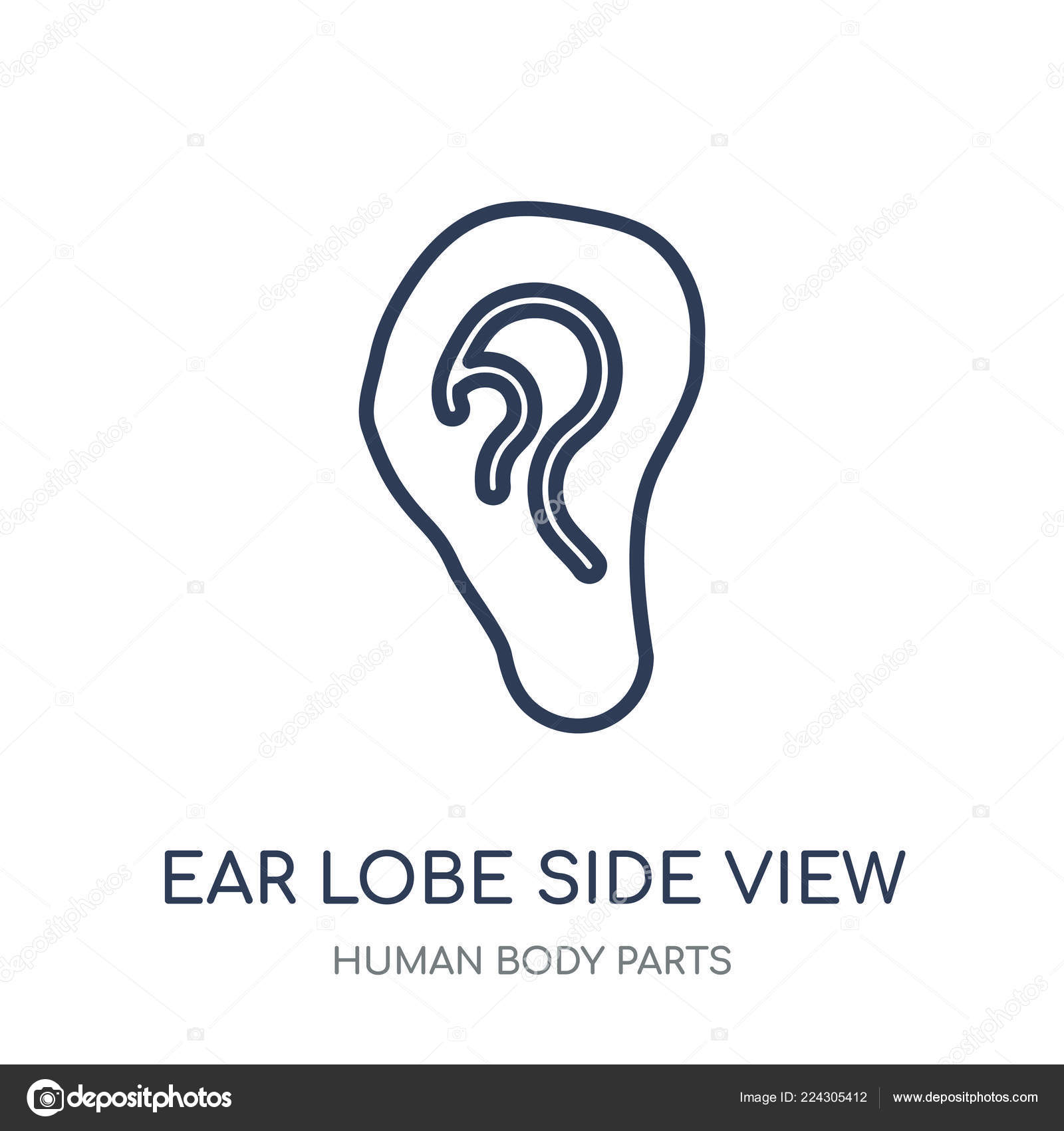 Ear Lobe Side View Icon Ear Lobe Side View Linear Stock Vector by ...