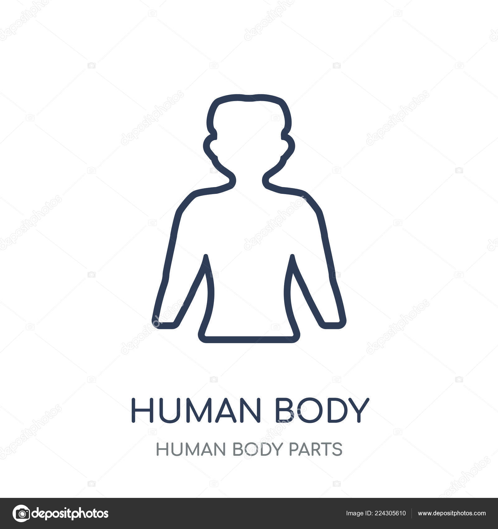Human Body Standing Black Icon Human Body Standing Black Linear Stock ...