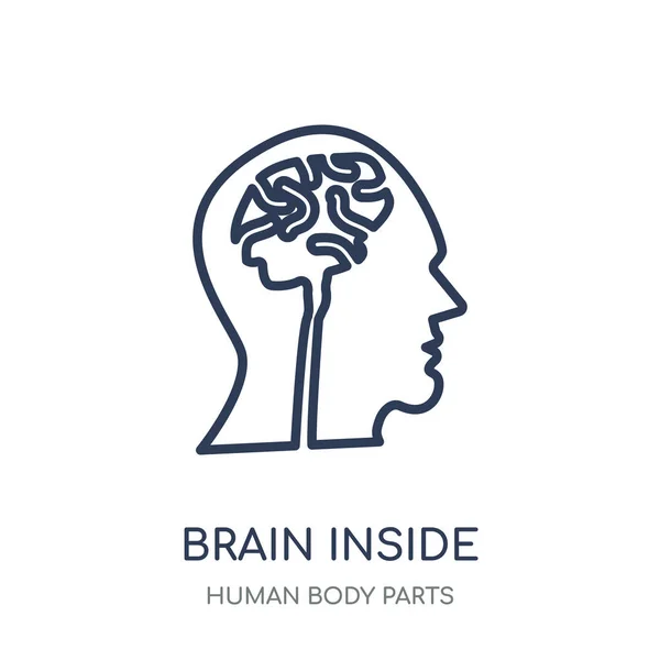 Human Brain Icon Human Brain Linear Symbol Design Human Body Stock ...