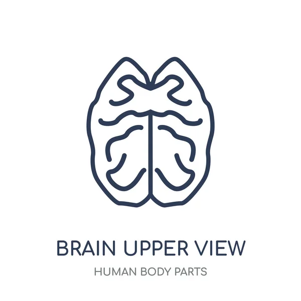 Human Brain Icon Human Brain Linear Symbol Design Human Body Stock ...